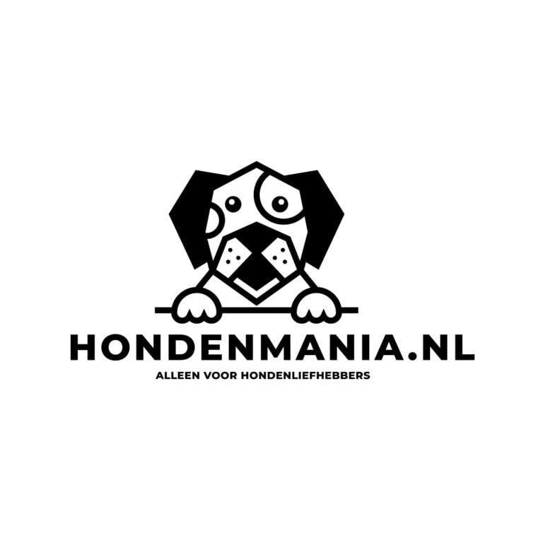 25 bijzondere weetjes over honden