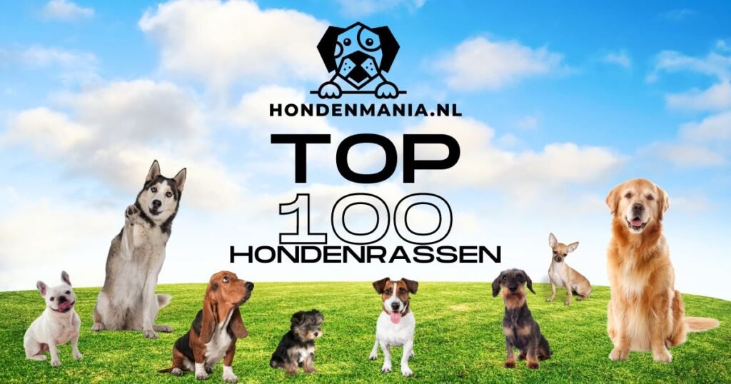 De top 100 bekendste hondenrassen